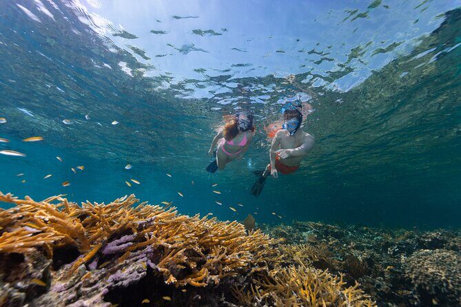 Explore Nassau's Best Spots with Snorkeling Tour - The Itinerary: What Will You Do?