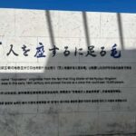 Explore Okinawa: Private Full-Day Tour with Driver - What’s the Itinerary Like?