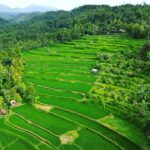 Explore rice terraces munduk & waterfall trekking experience - Waterfall Trekking & Refreshing Swims