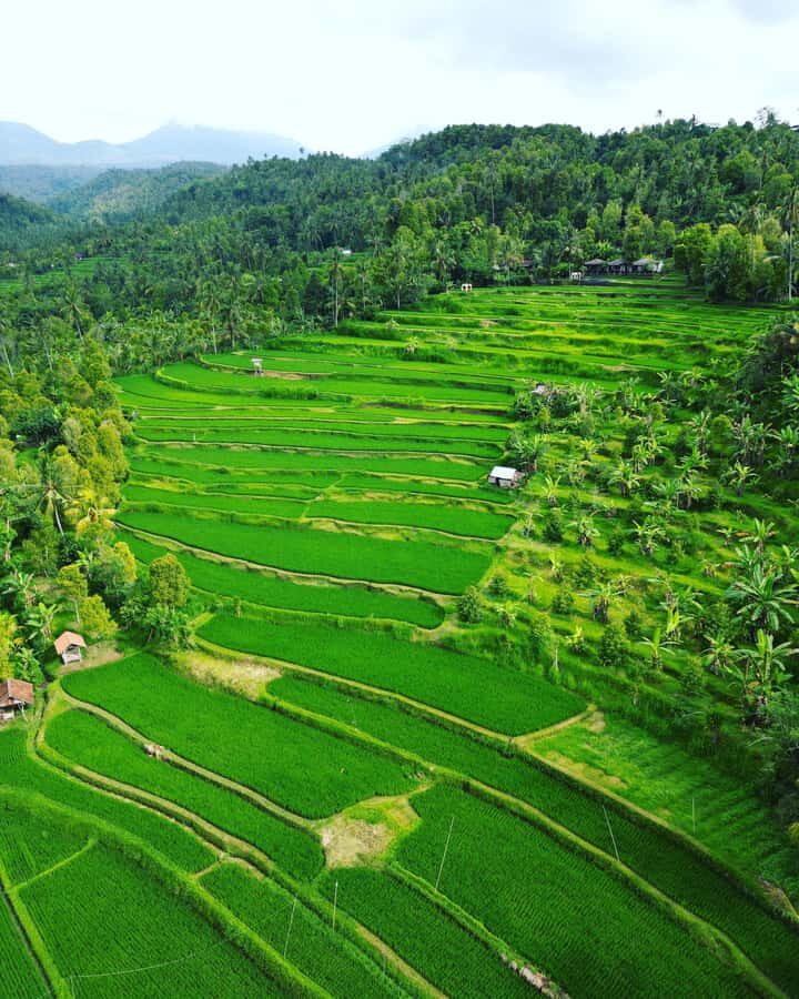 Explore rice terraces munduk & waterfall trekking experience - Waterfall Trekking & Refreshing Swims