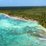 Explore Saona Island from Punta Cana Beaches Nature and Party - The Experience and Its Value
