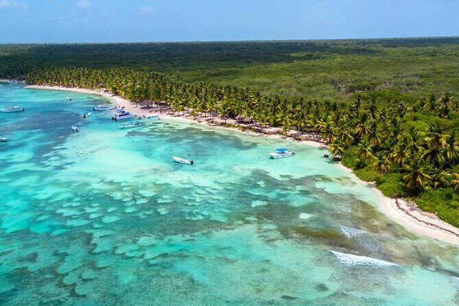 Explore Saona Island from Punta Cana Beaches Nature and Party - The Experience and Its Value