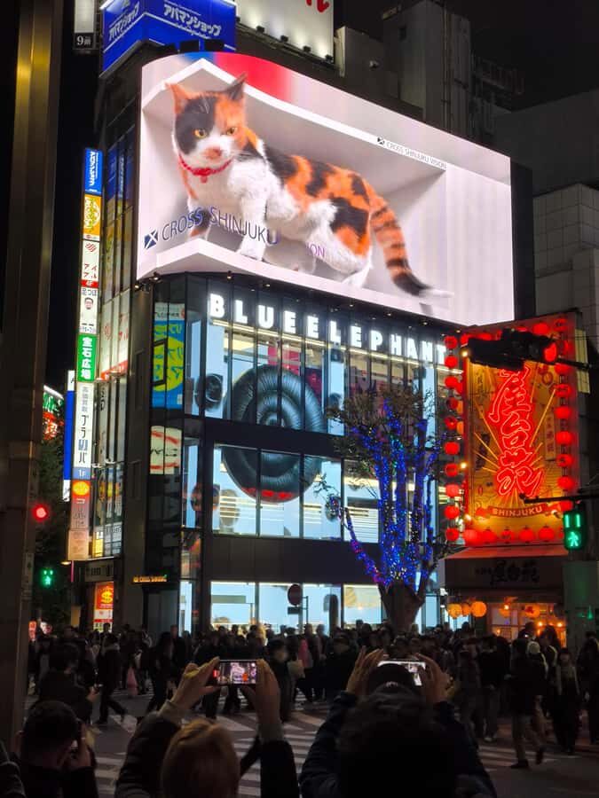 Explore Shinjuku's breathtaking views and entertainment districts - Practical Details and What to Expect