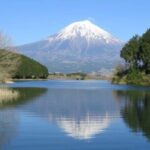 Explore Shizuoka with Private Car Tour - The Sum Up