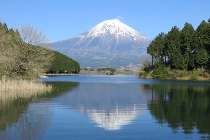 Explore Shizuoka with Private Car Tour - The Sum Up