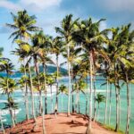 Explore Sri Lanka 8 Days - Day 4: Tea, Nuwara Eliya, and the Iconic Highlands