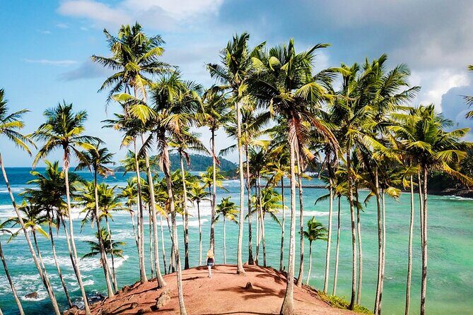 Explore Sri Lanka 8 Days - Day 4: Tea, Nuwara Eliya, and the Iconic Highlands