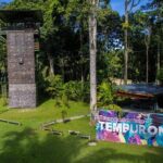 Explore Temburong with Canopy Tower - Deep Dive into the Experience
