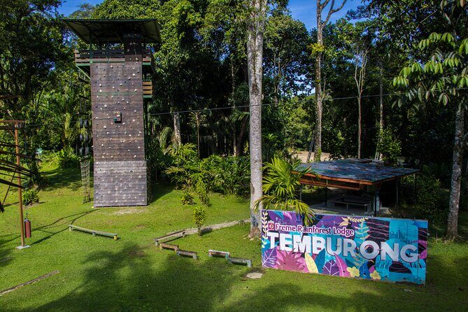 Explore Temburong with Canopy Tower - Deep Dive into the Experience