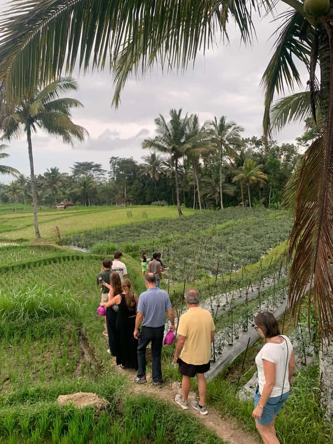 Explore Tetebatu Nature and Culture at Mount Rinjani - Who Will Love This Tour?