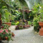 Explore the Enchanted Gardens of Barbados - Transportation and Practical Details