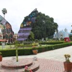 Explore the Essence of Oaxaca Tour to Hierve Water - Who’s This Tour Perfect For?