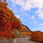 Explore the Full Cabot Trail: World Famous Trail - Practicalities and What You’ll Experience