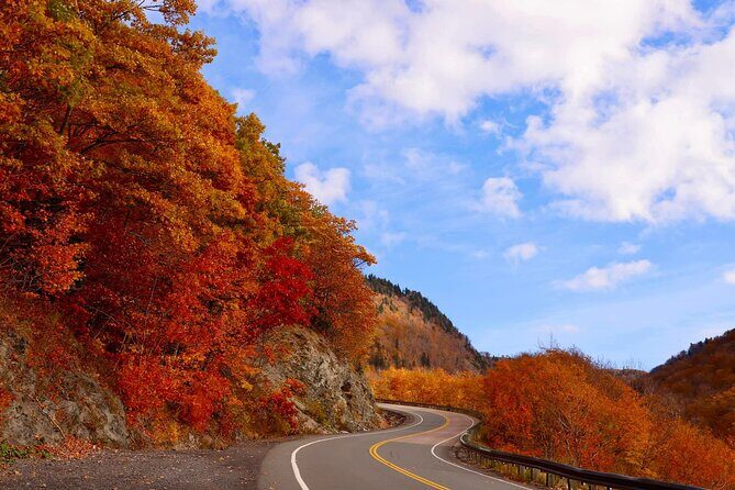 Explore the Full Cabot Trail: World Famous Trail - Practicalities and What You’ll Experience