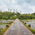 Explore The Rustic Life Of Thekkady - Practical Details & What You Can Expect