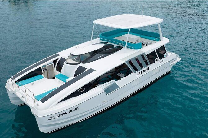 Explore the Wonders of Phi Phi Islands with lunch from Phuket - Who Will Love This Tour?