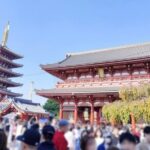 Explore Tokyo Highlights Layover Tour - Authentic Feedback from Past Travelers
