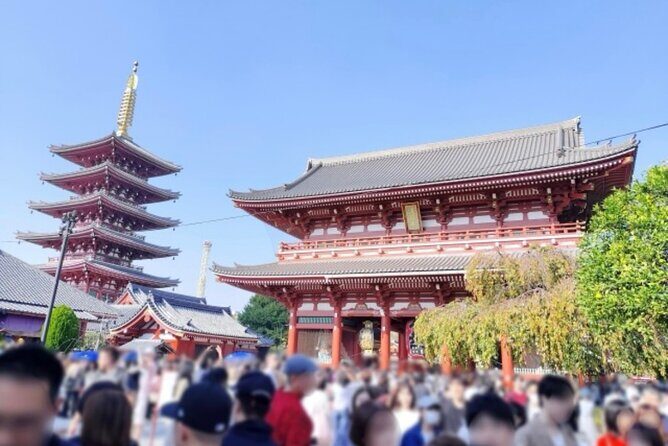 Explore Tokyo Highlights Layover Tour - Authentic Feedback from Past Travelers