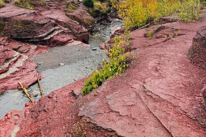 Explore Waterton National Park from Calgary Day Guided Tour - Timing and Pacing