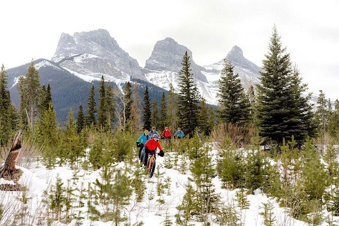 Explore Winter Wildlife Tracks Nature Walk in Canmore - What to Expect on the Winter Wildlife Tracks Nature Walk