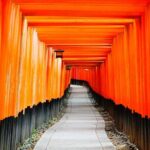 Exploring Autumn Foliage: Tofukuji, Fushimi Inari, and Uji Tour - Why This Tour Works