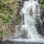 Exploring Bach Ma Trekking Hue National Park - The Climb to the Peak