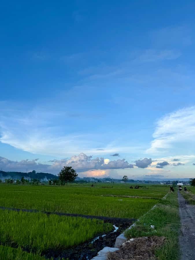 Exploring Bantul: Riding into the Heart of Rural Yogyakarta. - What to Expect on Your Rural Ride
