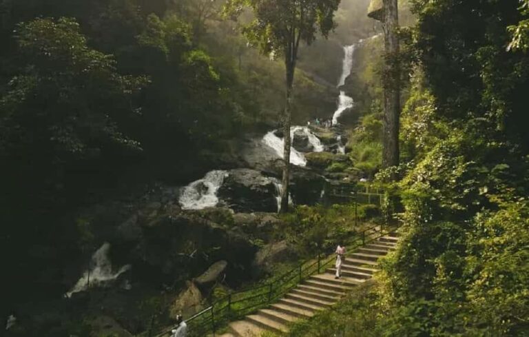 Exploring Coorg: Guided Full Day Tour in Car from Mysore - The Sum Up