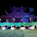 Exploring Ho Chi Minh Water Puppet Show Ticket - The Experience: What to Expect and What Not
