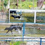 Exploring Phu Quoc Full Day North and South Island private Tour - What’s the Value?