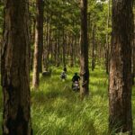 Exploring the Seven Tier Waterfall Tour - Trekking Through Pristine Forests