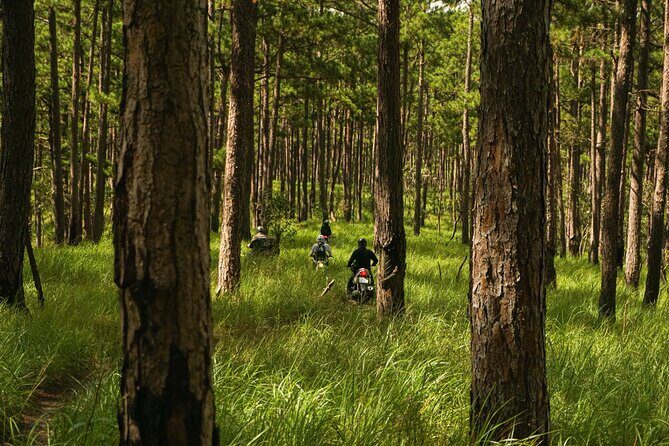 Exploring the Seven Tier Waterfall Tour - Trekking Through Pristine Forests
