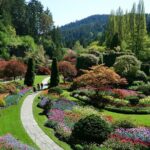 Express Shuttle to The Butchart Gardens and Saturday Fireworks - Analyzing the Value and Practicality