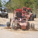 Extreme Buggy From Punta Cana Transportation Included - Practical Details and What They Mean for You