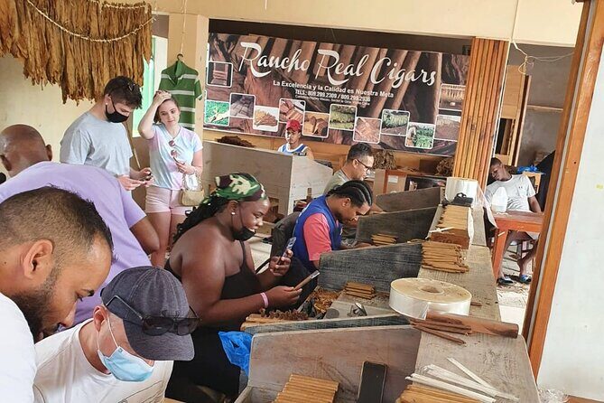 Extreme Fun in Safari Punta Cana Medio Dia - Who Is This Tour Best For?