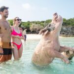Exuma Elite Escape: Luxury Fly-In Pig Beach Adventure - 7 Stops - What to Expect from the Itinerary
