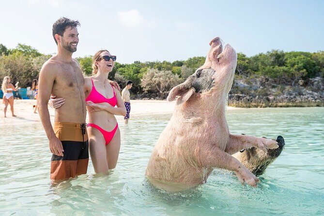 Exuma Elite Escape: Luxury Fly-In Pig Beach Adventure - 7 Stops - What to Expect from the Itinerary