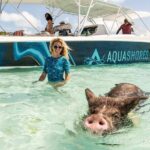 Exuma Powerboat Tour from Nassau with Swimming Pigs - The Highlights That Keep Travelers Coming Back
