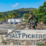 Fabulous Dutch and French Tour - Considerations and Possible Drawbacks