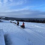 Fairbanks: 2-Hour Basic Dog Mushing School - The Practicalities: Booking, Group Size, and What to Bring