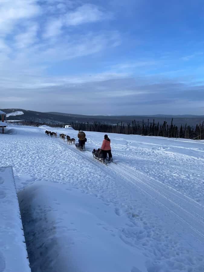 Fairbanks: 2-Hour Basic Dog Mushing School - The Practicalities: Booking, Group Size, and What to Bring