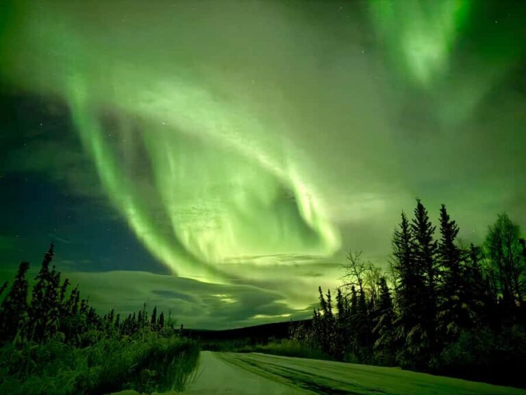 Fairbanks: Arctic Circle Tour with Northern Lights Hunt - What’s Not to Miss