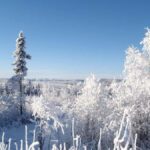 Fairbanks: Northern Lights & Arctic Circle Tour - Key Points