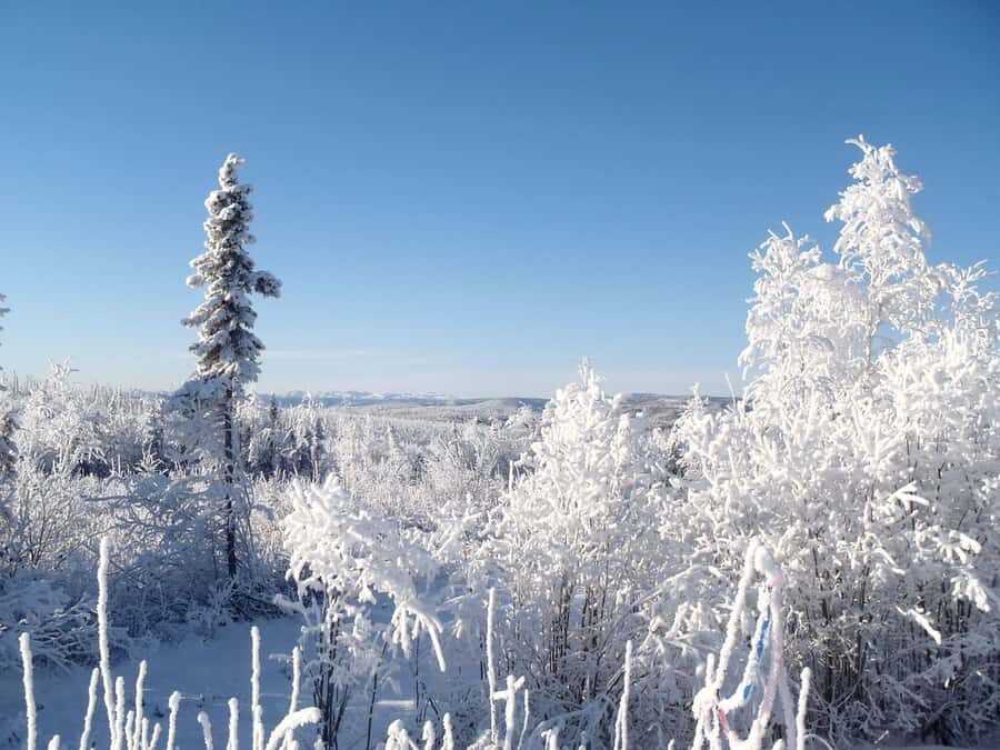 Fairbanks: Northern Lights & Arctic Circle Tour - Key Points