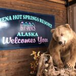 Fairbanks: Northern Lights & Chena Hot Springs Tour - Transportation, Timing, and Group Size