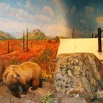 Fairbanks: Winter City Tour - Who Should Consider This Tour?