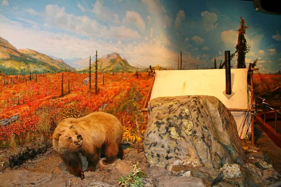 Fairbanks: Winter City Tour - Who Should Consider This Tour?