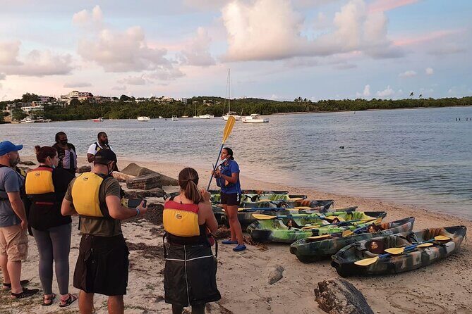 Fajardo Bioluminescent Bay Night Kayak Adventure from San Juan - FAQ