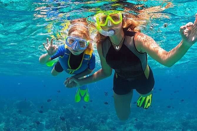 Fajardo, Puerto Rico: Morning Snorkeling Beach Tour - Experience Quality and Value