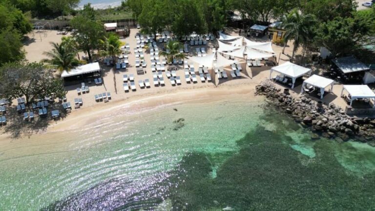 Falmouth: Bamboo Beach Club VIP Access + Lunch & Cocktails - The Practical Side: Timing, Transportation, and Group Size